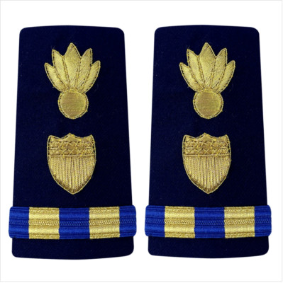 GENUINE U.S. COAST GUARD SHOULDER BOARD: ENHANCED WARRANT OFFICER 2 ...