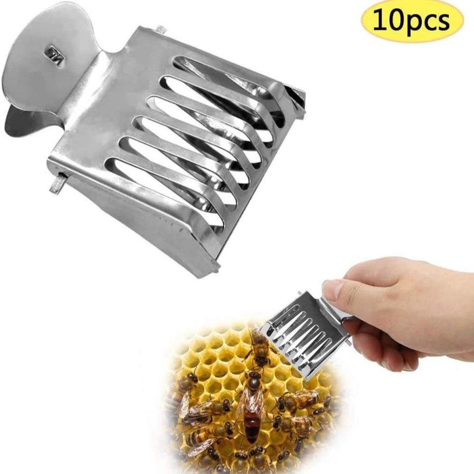 10-Pack Stainless Steel Beekeeping Clip Queen Bee Cage Catcher Bee) | eBay