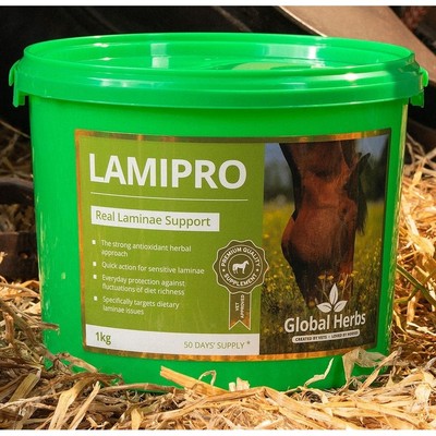 Global Herbs LamiPro Supplement 1kg | eBay UK