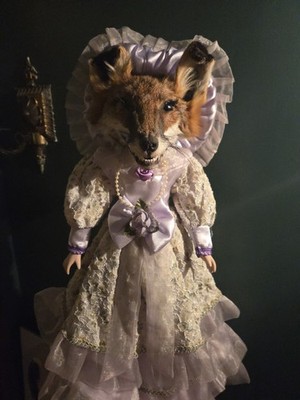 Red Fox Taxidermy Doll | eBay