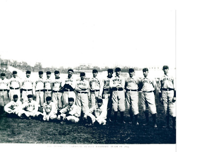 1895 BROOKLYN DODGERS TEAM 8X10 PHOTO BASEBALL HOF NEW YORK USA | eBay