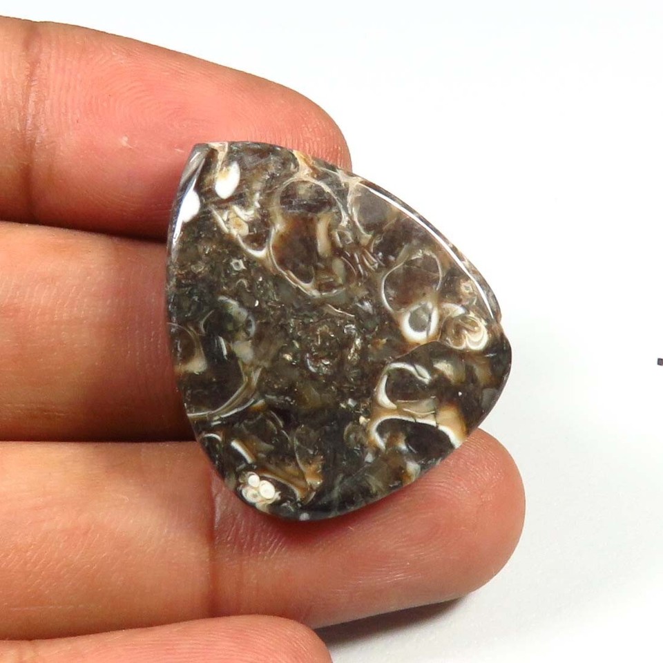 Handmade Turtella Pear Plain Gemstone 27x23mm Natural Turtella Brown ...