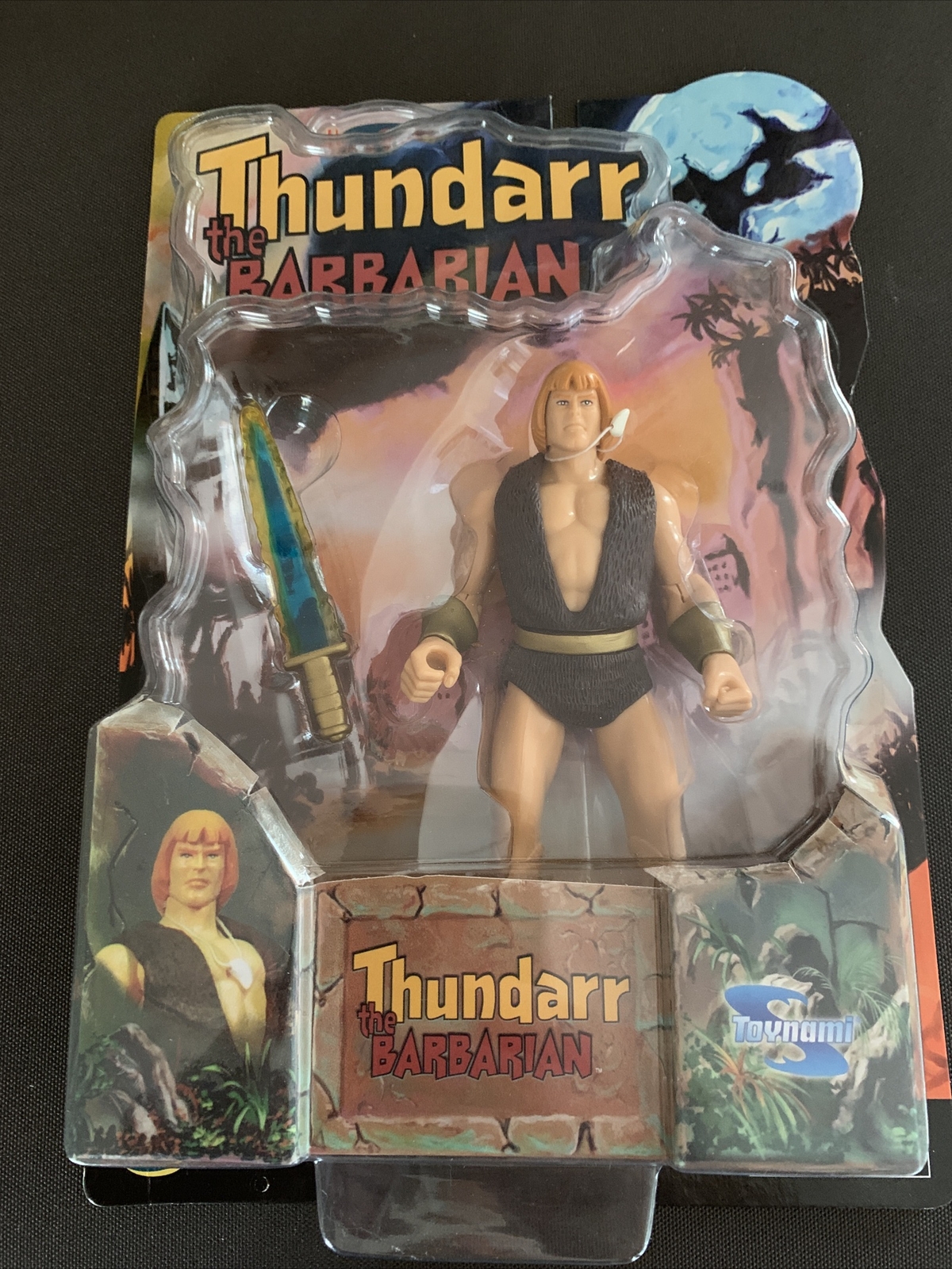 Thundarr The Barbarian Thundarr Action Figure 2003 Hanna Barbera ...