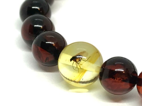 Baltic AMBER BRACELET Gift Insect Round Beads Amber Inclusion Insects 6 ...