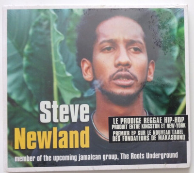 STEVE NEWLAND : REGGAE SOUL ♦ NEW CD MAXI ♦ | eBay