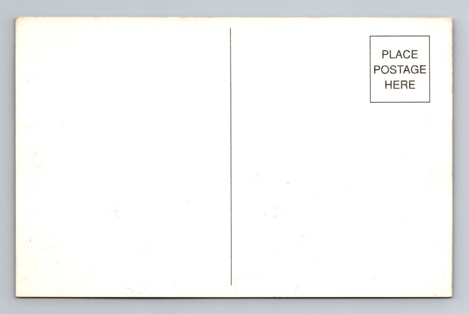 Caprice Classic Wagon 1994 Car Transportation Vintage Postcard Standard ...