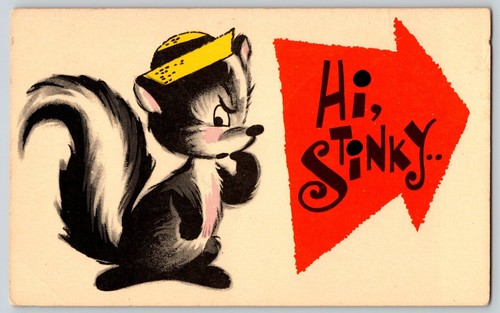 Postcard Humor - Skunk - Hi Stinky - Greetings | eBay