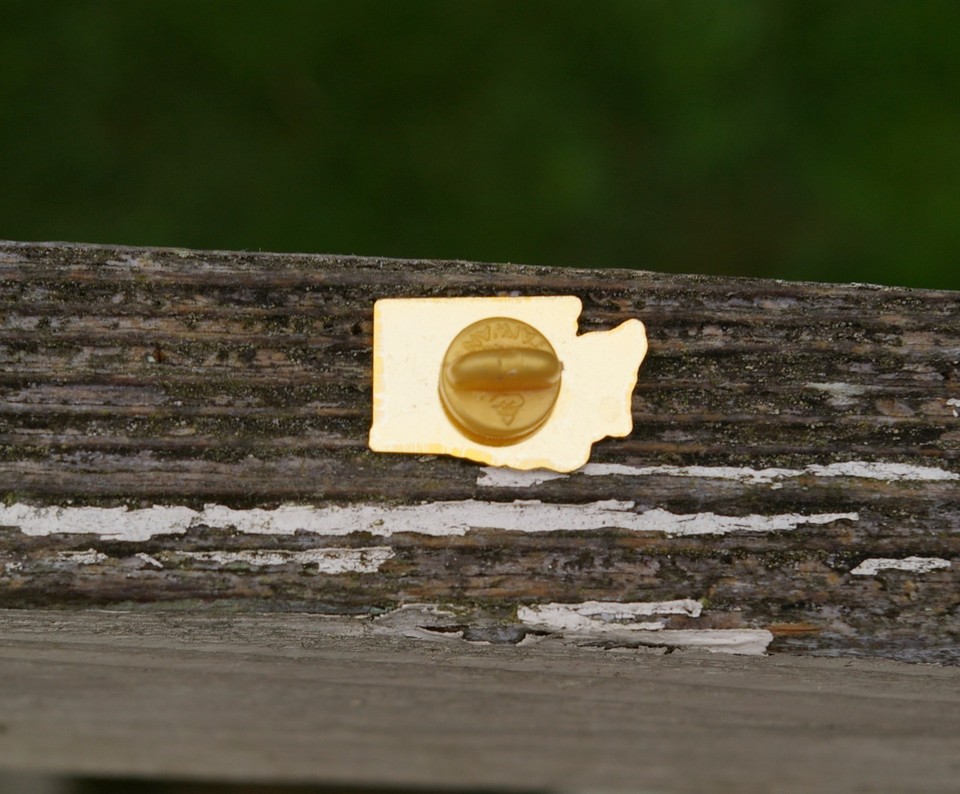 Washington Evergreen State WA Red Apple Metal & Enamel Lapel Pin ...