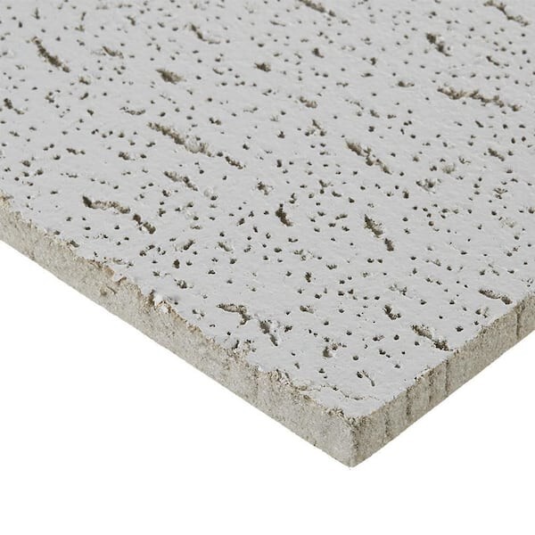 Armstrong Acoustical Ceiling Tile Zentia Armstrong Clean Room FL
