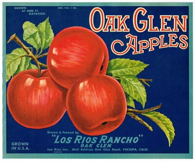 ORIGINAL APPLE CRATE LABEL VINTAGE 1930S YUCAIPA BLUE OAK GLEN LOS RIOS ...