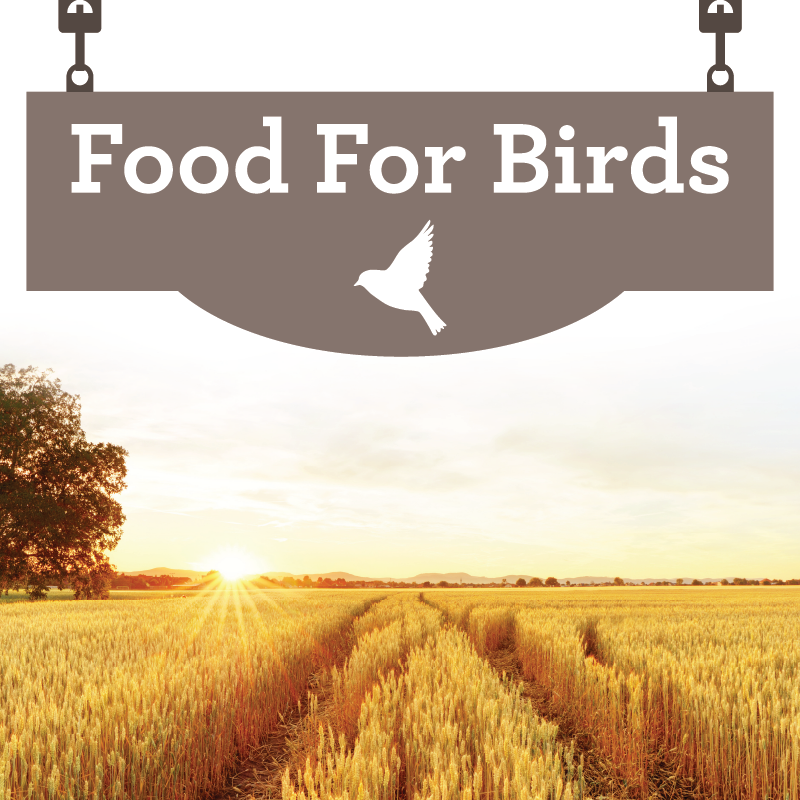 Snowflake Supreme Quality Wood Shavings 15kg Dust Free Animal Bedding ...