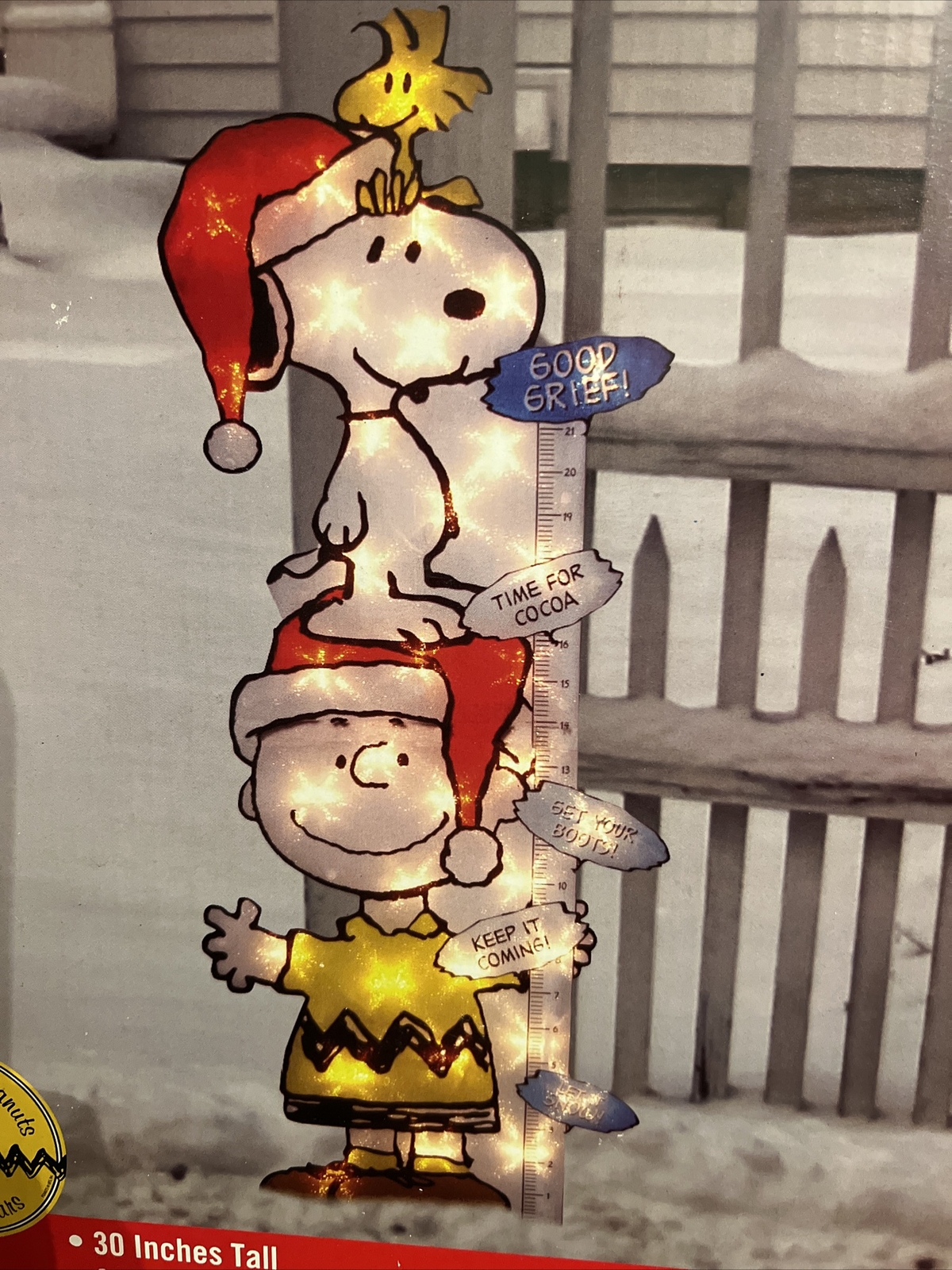 Snoopy Pictures Christmas