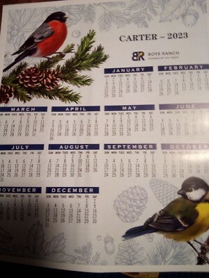 (NEW) 2023 BOYS RANCH 12 Month WALL Calendar Card BIRD THEME 8.5" x 7 ...