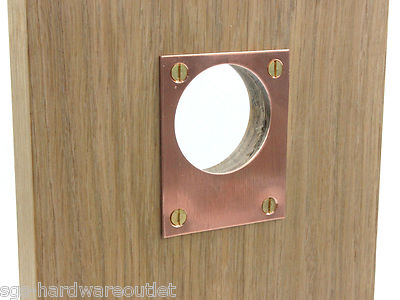 Bird Nesting Box HOLE PROTECTOR - Stops attack from gnawing teeth claws ...