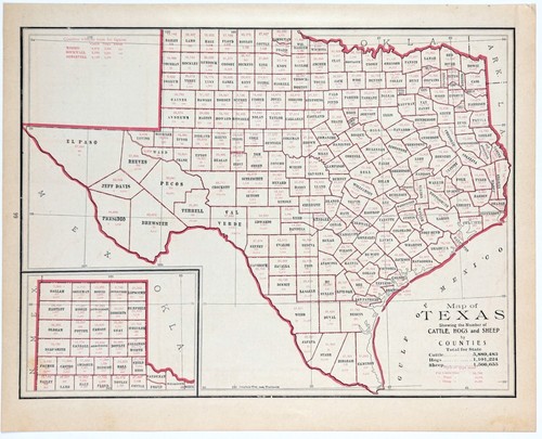 1904 TEXAS CATTLE LIVESTOCK Map ORIGINAL Hogs Sheep HUSBANDRY FARMING ...