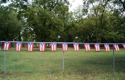 Puerto Rico Rican 12x18 Bunting Party Flags Banner (12 Flags 20 foot ...