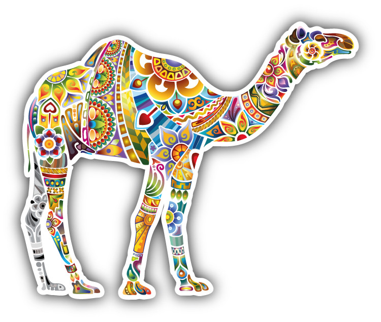 Cheerful Camel Car Bumper Sticker Decal - ''SIZES'' | eBay