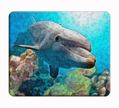 Custom Dolphin sea computer, laptop,iPad, mouse pad | eBay