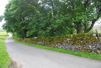 Photo A3 Small copse by Rainscar Farm Brackenbottom It provides a ...
