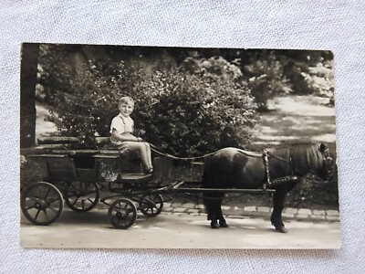 VTG BW photo/snapshot, little boy with horse, and wain/chariot cca ...