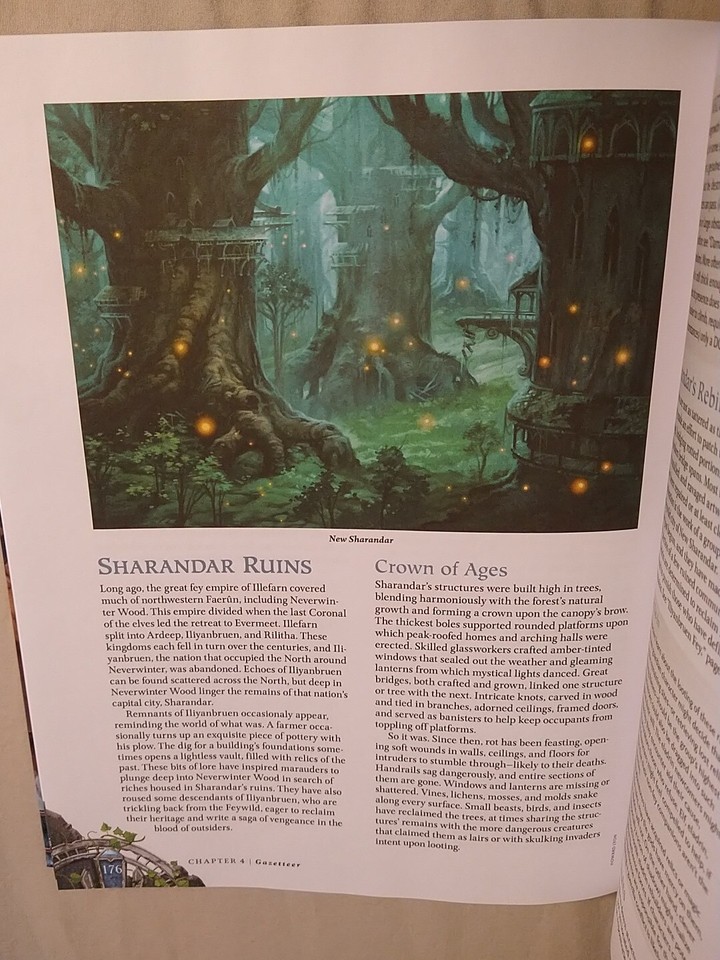 Dungeons and Dragons Reprint of Neverwinter Campaign Setting 4th ...