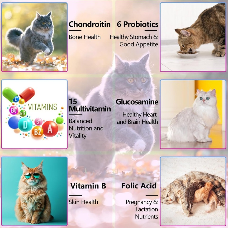 Cat Multivitamin,15 in 1 Cat Vitamins Liquid Drops Supplements for ...