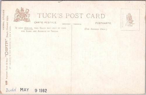 c1910s TUCK'S "ANIMAL STUDIES" Postcard "The Giraffe" (Collector's Date ...