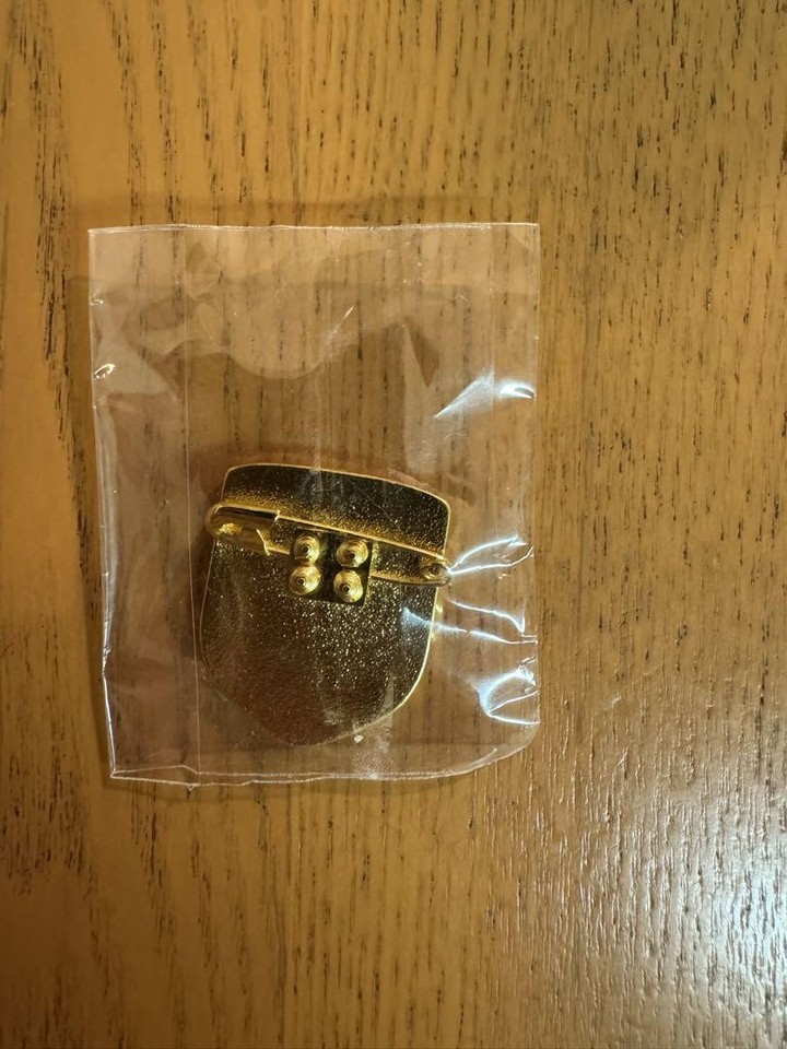 AJCC 2025 Drivers Runner Pin Badge | eBay
