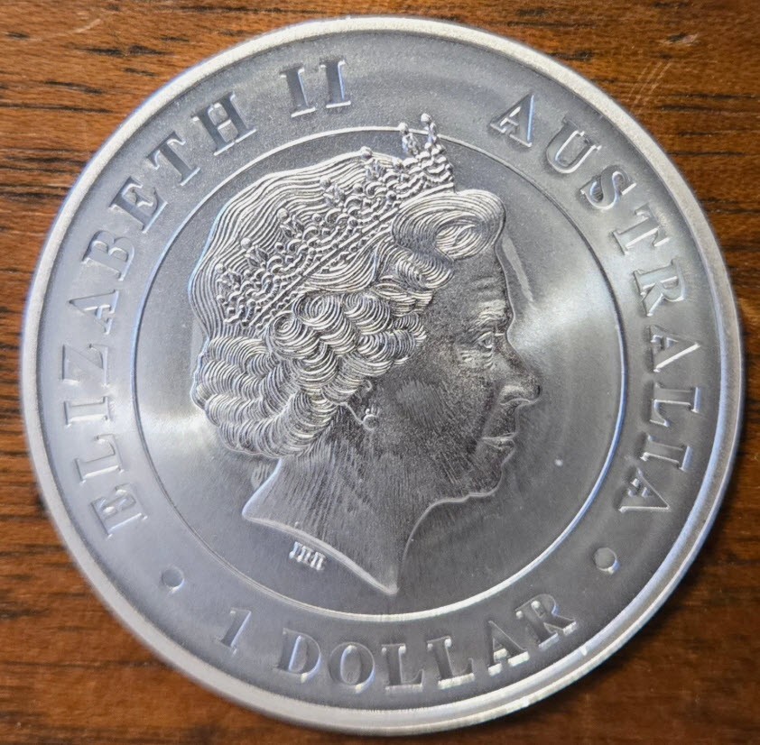 2015 Australia 1 oz Silver Funnel-Web Spider BU .999 Fine Silver Perth ...