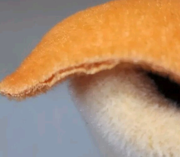 Baby Einstein "It's Mine! Mina Bird" Hand Puppet. VERY RARE | eBay