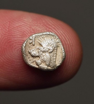 G24-47 MYSIA, Kyzikos. Circa 450-400BC AR Obol, Roaring lion / Boar ...