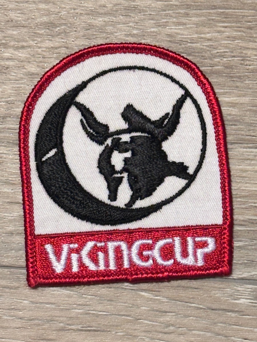 Camrose Vikings Logo Summer Camp Time! | Sparling School