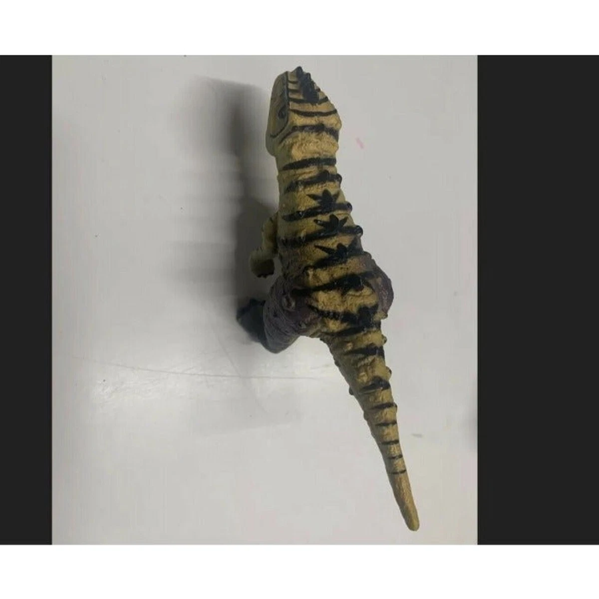 Alioramus Disney