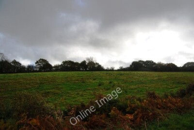 Photo 6x4 Field by the 1066 Country Walk Pebsham c2009 | eBay UK