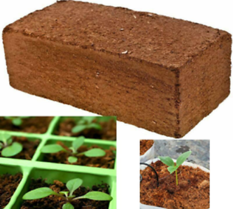 Organic Coco Coir Bricks lot 1-16 Coconut Fiber Growing Medium Potting ...