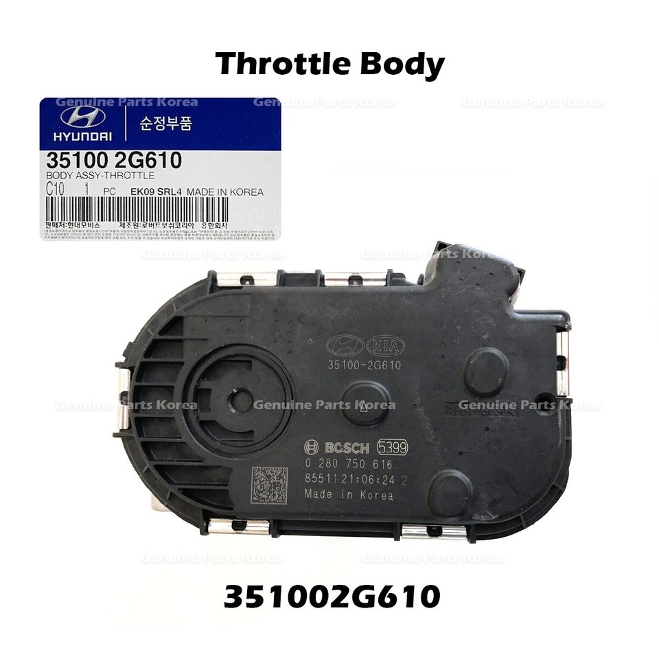 ⭐Genuine⭐ Throttle Body 351002G610 for Hyundai Santa Fe Sonata Kia ...