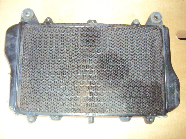 KAWASAKI GPZ900R ZX900 RADIATOR AND STONE GUARD GPZ | eBay