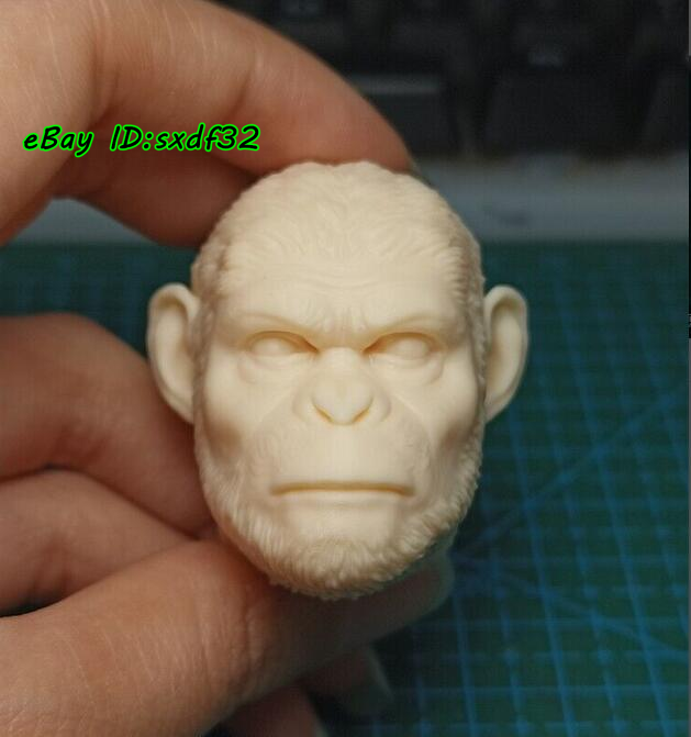 1:6 Head Sculpt Pouting Chimpanzee Animal Carved For 12" Male Action ...