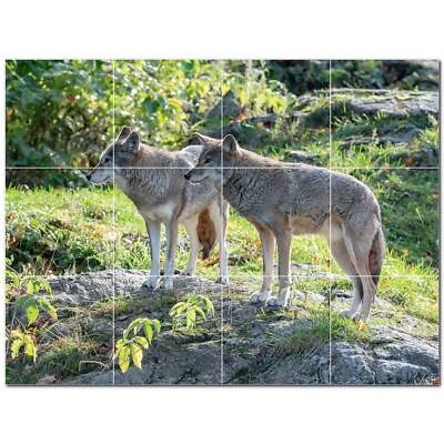 Wolf Ceramic Tile Wall Mural PT501236. 24" W x 18" H (12) 6x6 tiles | eBay