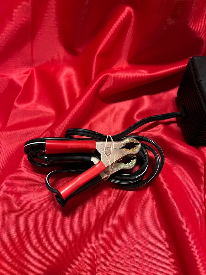 Diehard Battery Charger/Maintainer 2 Amp for 6/12v Model 200.71219 (4M ...