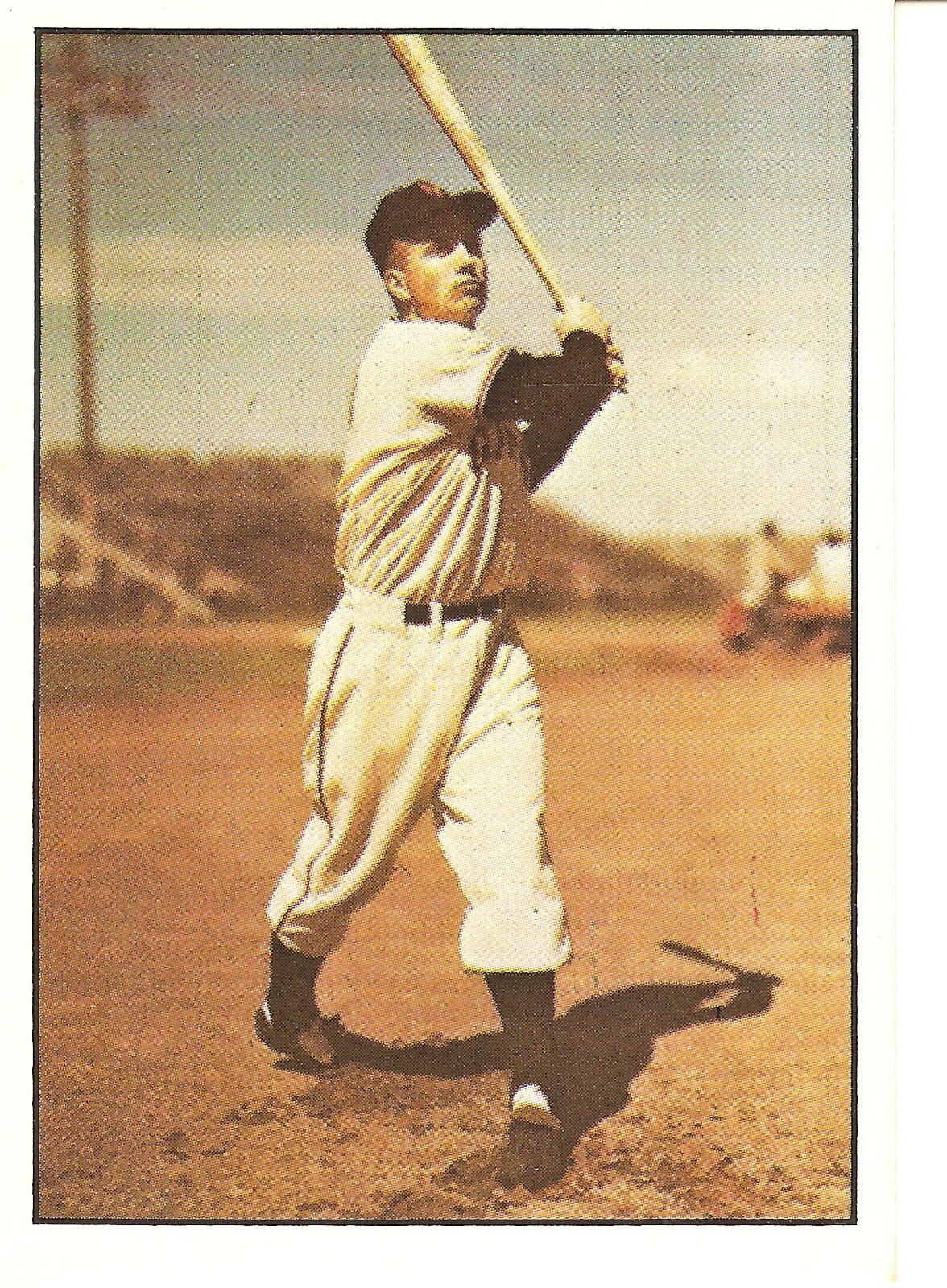 1979 TCMA LTD RANCE PLESS BASEBALL CARD #176 | eBay