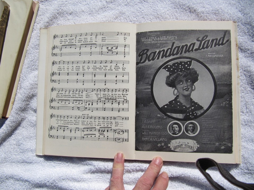 NOBODY The Story of BERT WILLIAMS, Negro Vaudeville Ann Charters ...