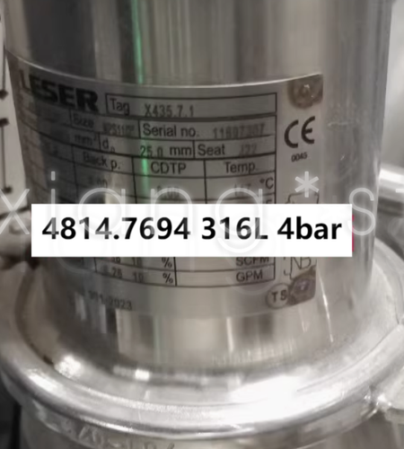 1PC safety valve 4814.7694 316L 4bar | eBay Australia
