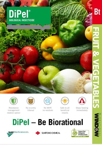 BT Spray (Bacillus Thuringiensis) Organic Bio Spray. 50g soluble ...