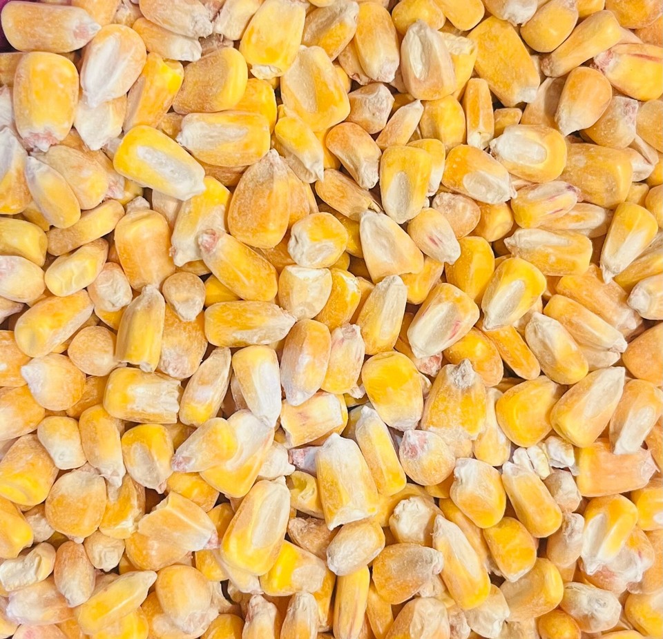 Guinea Corn (Dawa/Okababa), Soya Beans, Millet (Joro), Yellow Corn ...