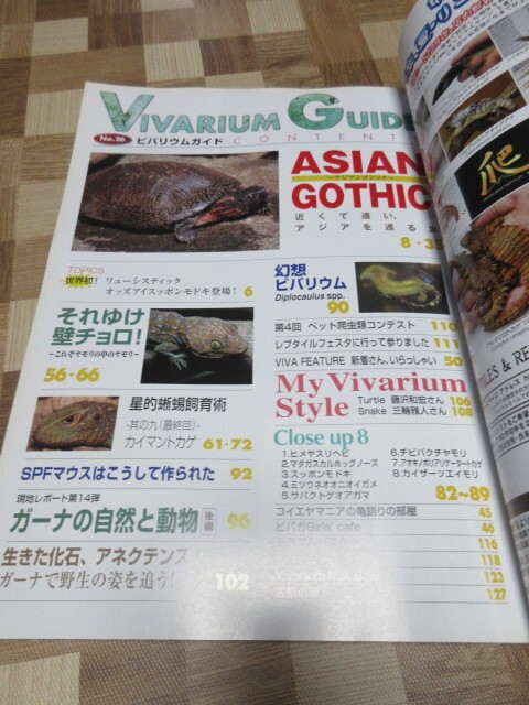 Vivarium Guide No.26 ASIAN GOTHIC | eBay
