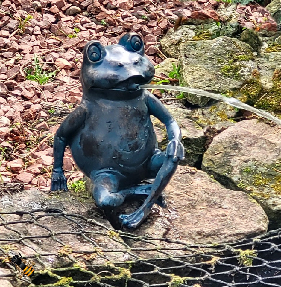 FROG POND SPITTER GARDEN WATER FOUNTAIN SITTING FEATURE STATUE ORANMENT ...