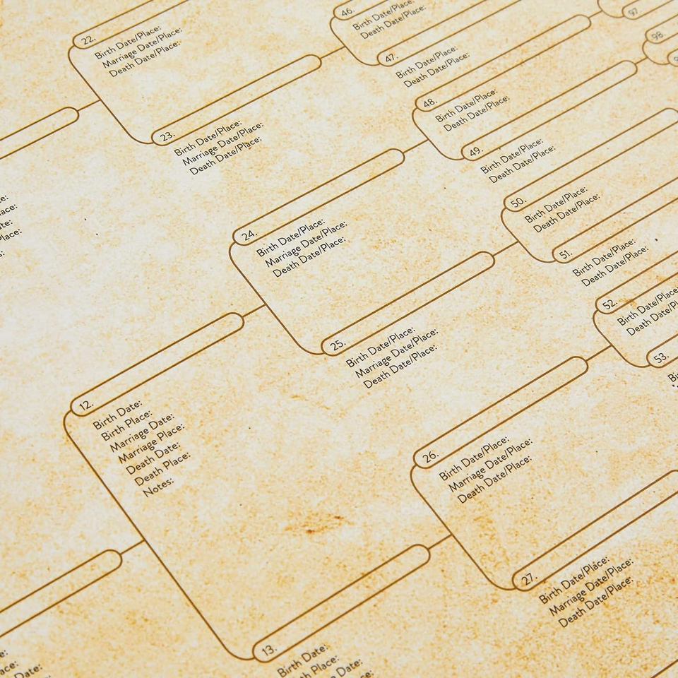 15 Pack Family Tree Charts to Fill In Eight Generation Genealogy Poster ...