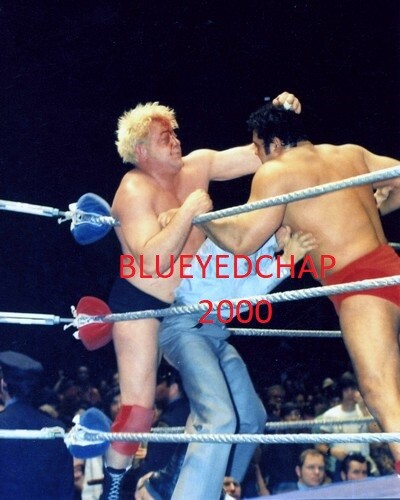RAY STEVENS VS PEDRO MORALES WRESTLER 8 X 10 WRESTLING PHOTO NWA WWWF ...