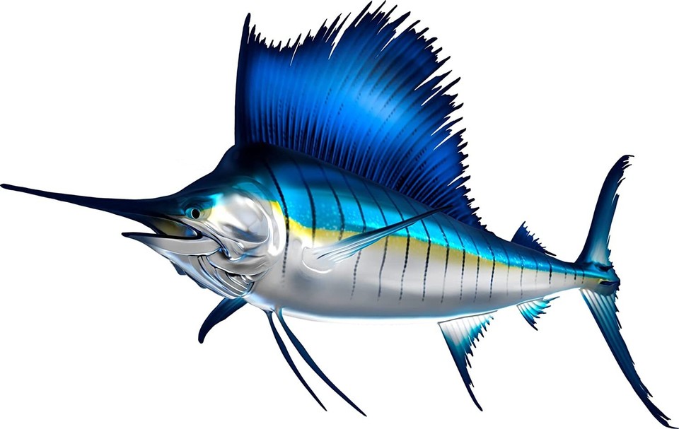 Sail Fish Vinyl Sticker Fish Decals for Boat Car Vehicle Truck Fishing ...